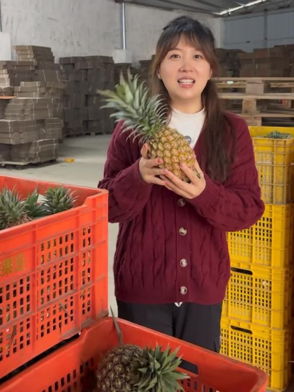 自然成熟的海南金钻凤梨,今天教大家切凤梨的方法,还有什么切法,欢迎...