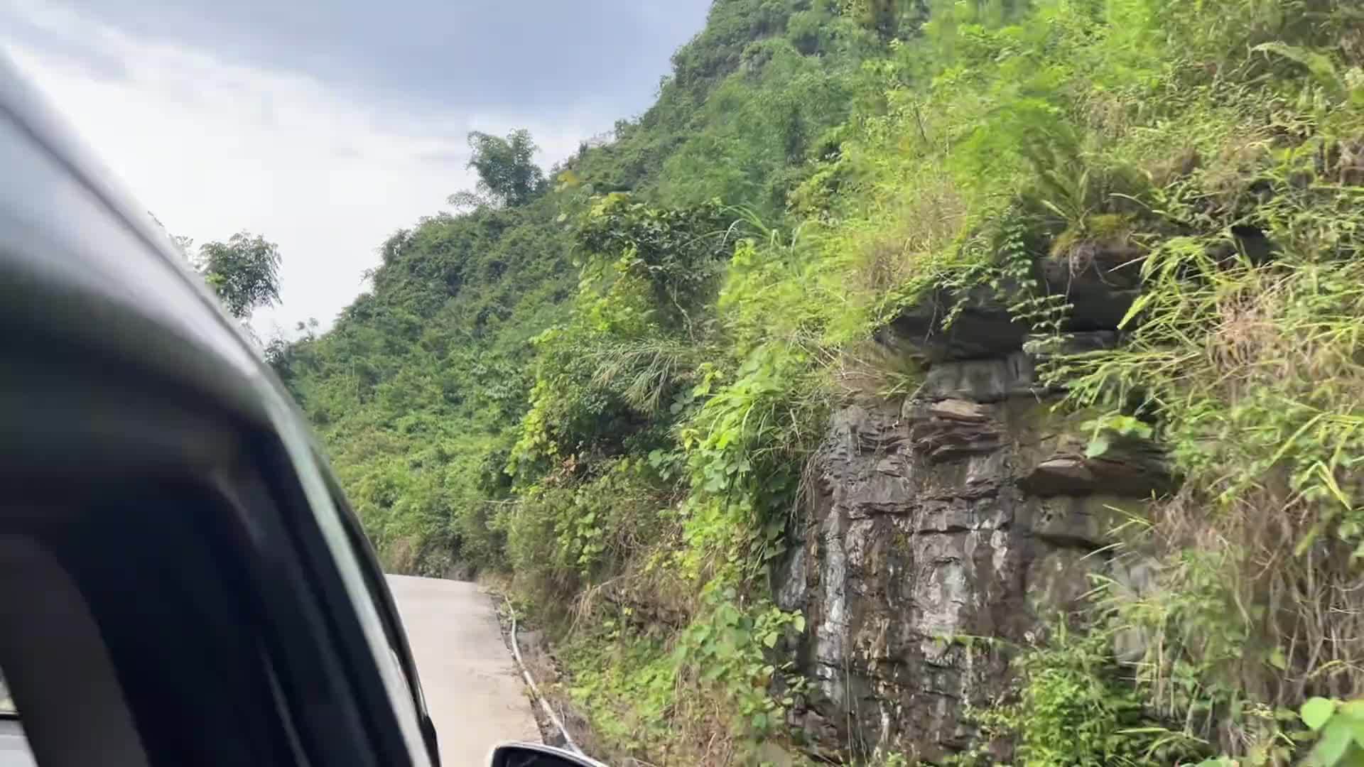 去山里看一只小狗,独生崽气质就是不一样
