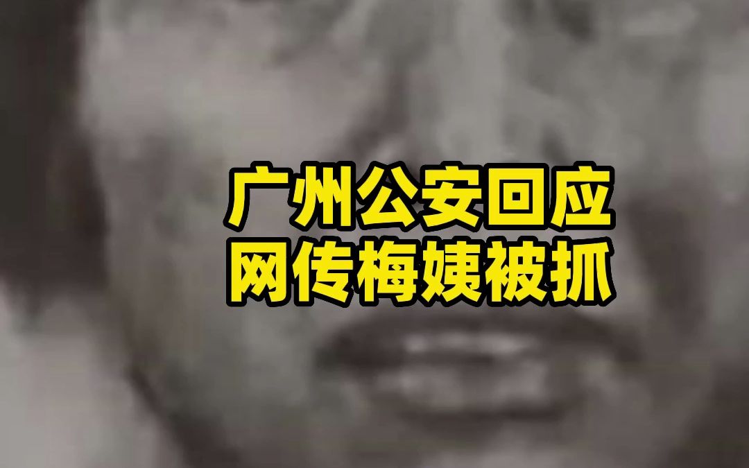 终于有消息了!广州公安回应 网传梅姨被抓
