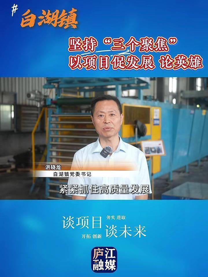 #谈项目谈未来白湖镇党委书记洪晓龙:坚持“三个聚焦”,抓实项目建设...