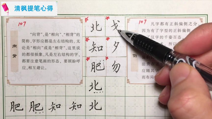 中小学生0基础硬笔书法教程,适合初学者,这是我见过最好的视频