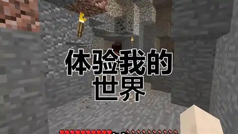 我的世界,探索无限可能