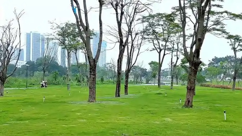 练习无人机飞行时发生的一幕…