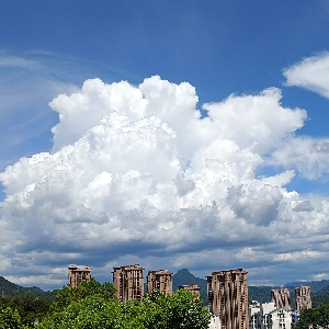 时光不匆 