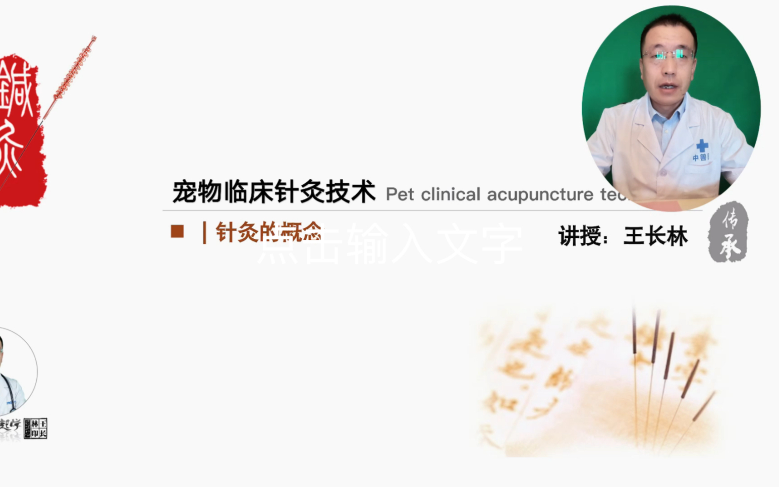 宠物针灸既神秘又神奇,带你一起学习专业的宠物临床针灸技术