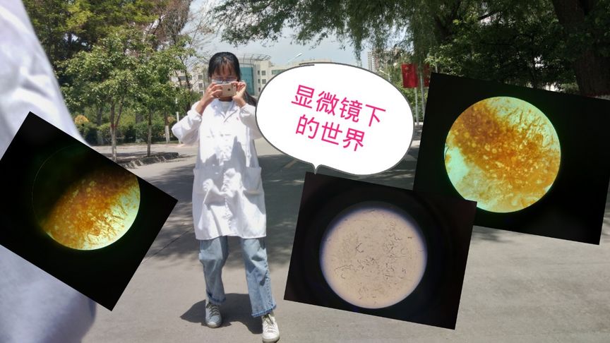 #大学生实验室的那些事儿 ☞显微镜下的世界究竟是怎样的呢?