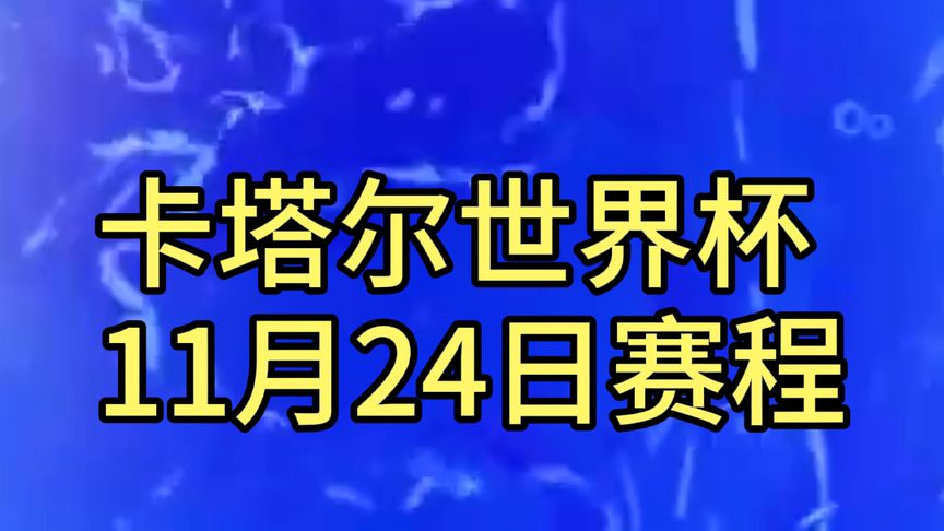 卡塔尔世界杯11月24日赛程