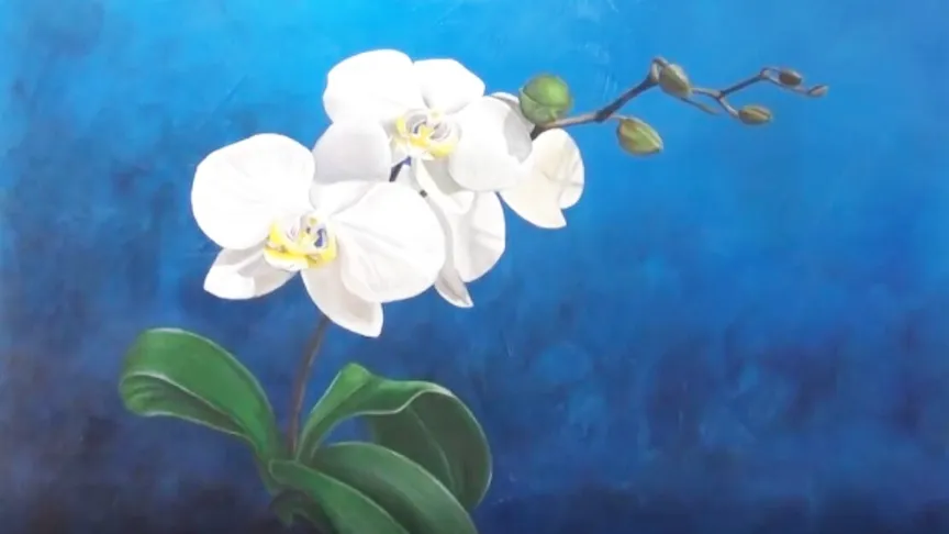 油画教程:简单实用的超现实油画画法,栩栩如生的兰花