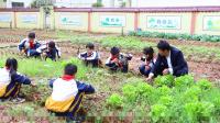 临川区鹏田乡中心小学劳动实践案例