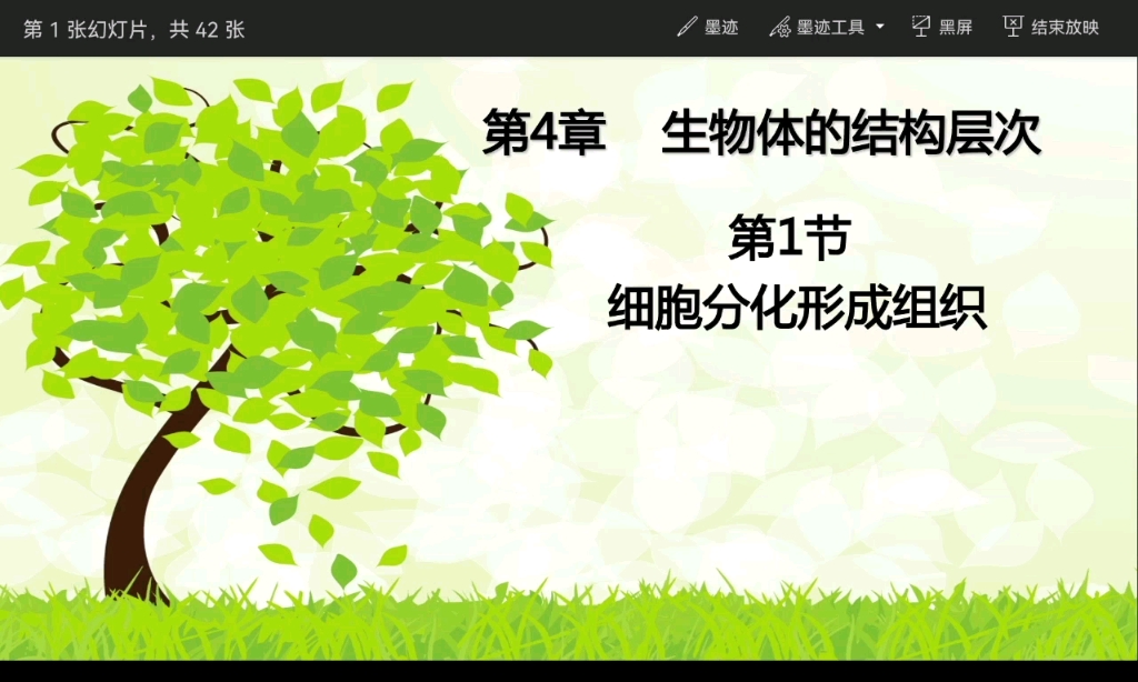 [初中生物]细胞分化形成组织(北师大版生物—七年级上册第四章)