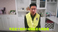 小学语文课本里的海滨小城,到底是在哪里呀?