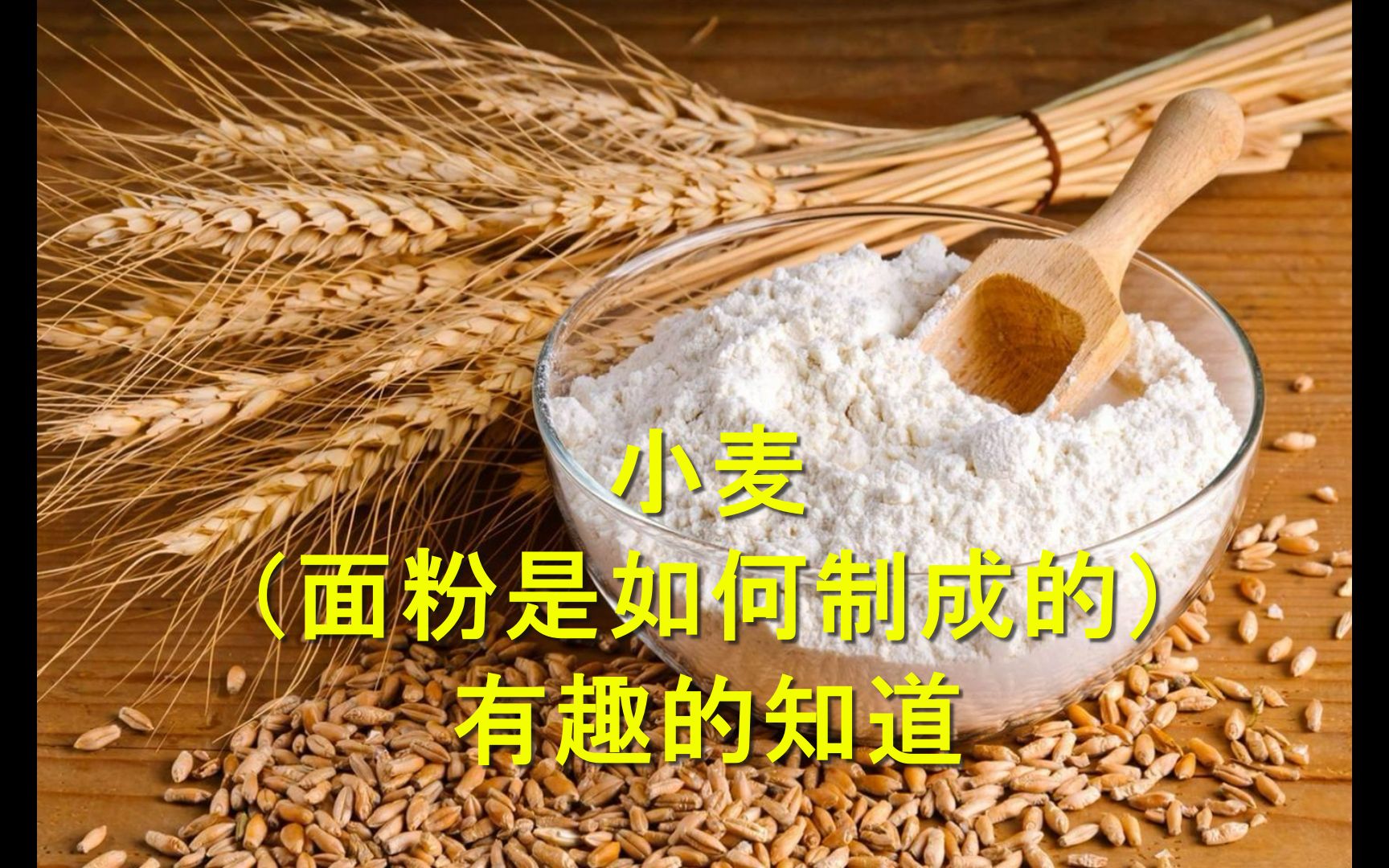 小麦 (面粉是如何制成的) 有趣的知道