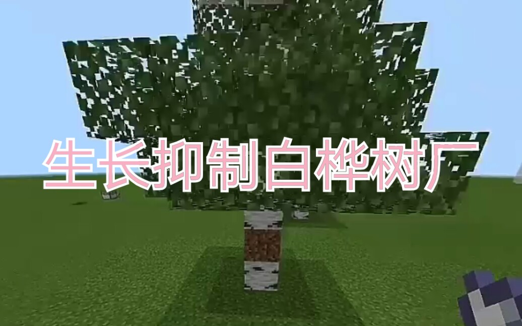 生长抑制白桦树厂-效率爆炸【MCBE】【我的世界基岩版】[diamond-...