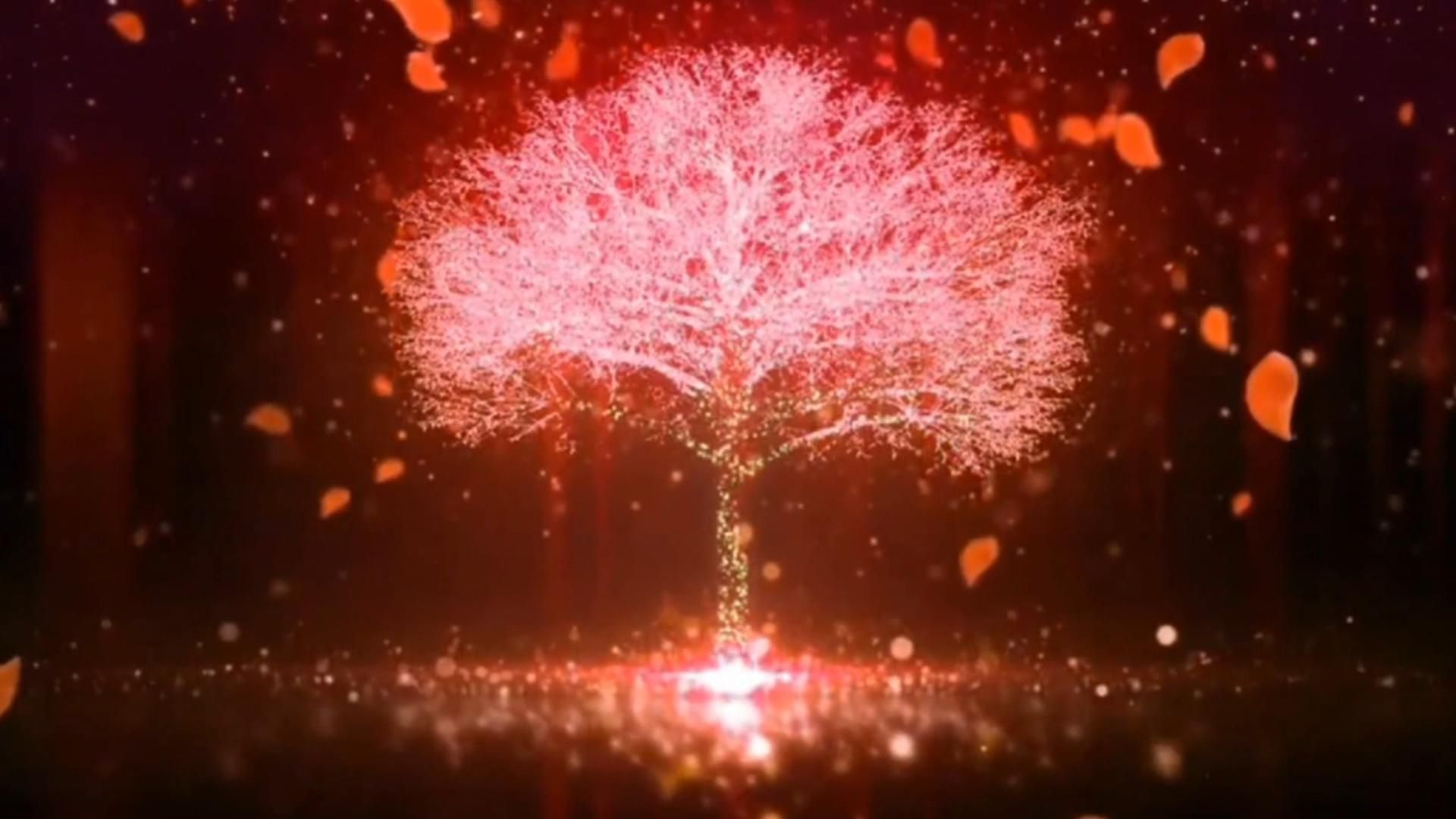 【粒子樱花树】会发光的樱花树不能错过!几行代码教你敲敲一颗会...