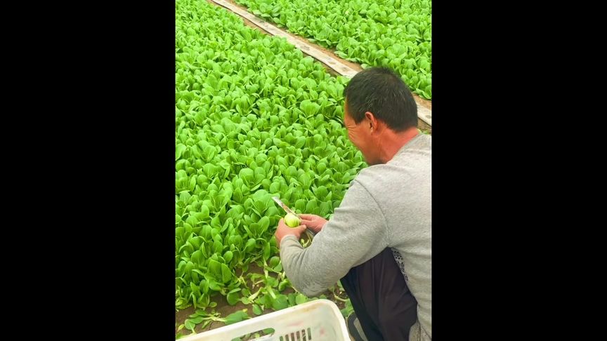“我为群众办实事