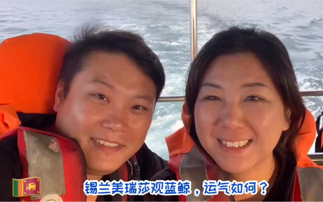 世界最佳观鲸地之一的斯里兰卡美瑞莎,看看我运气如何!