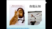 职业生涯规划:自我认知游戏.wmv
