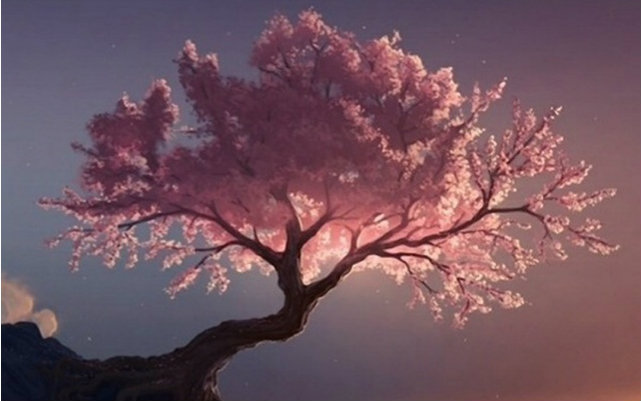 二(3) 二(3) 2333 二三得六 6666