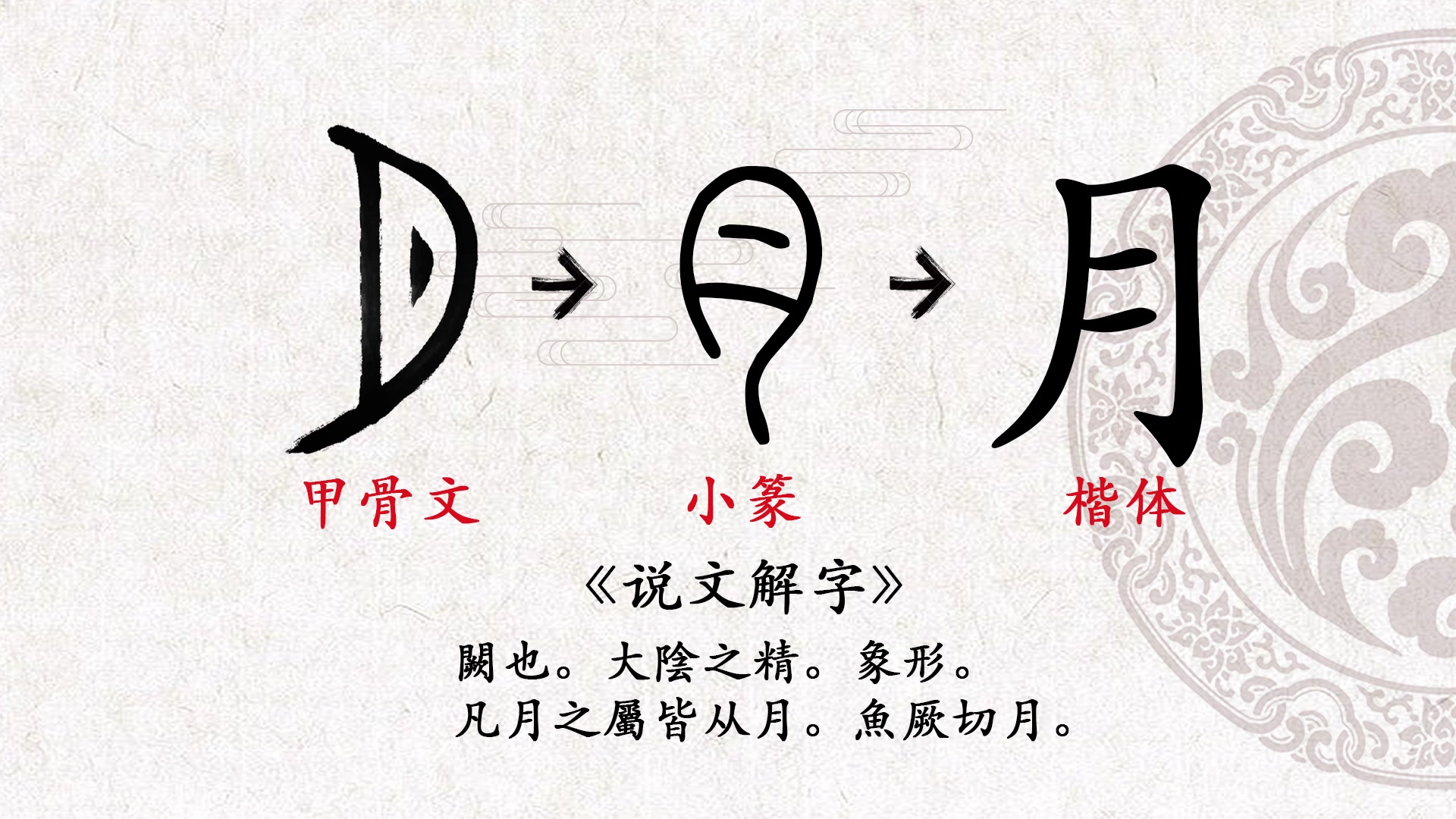 第2天 甲骨文“月”字的写法