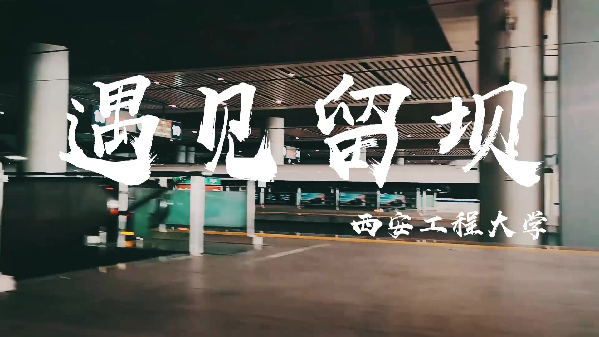 【遇见留坝】暑期社会实践 超全记录