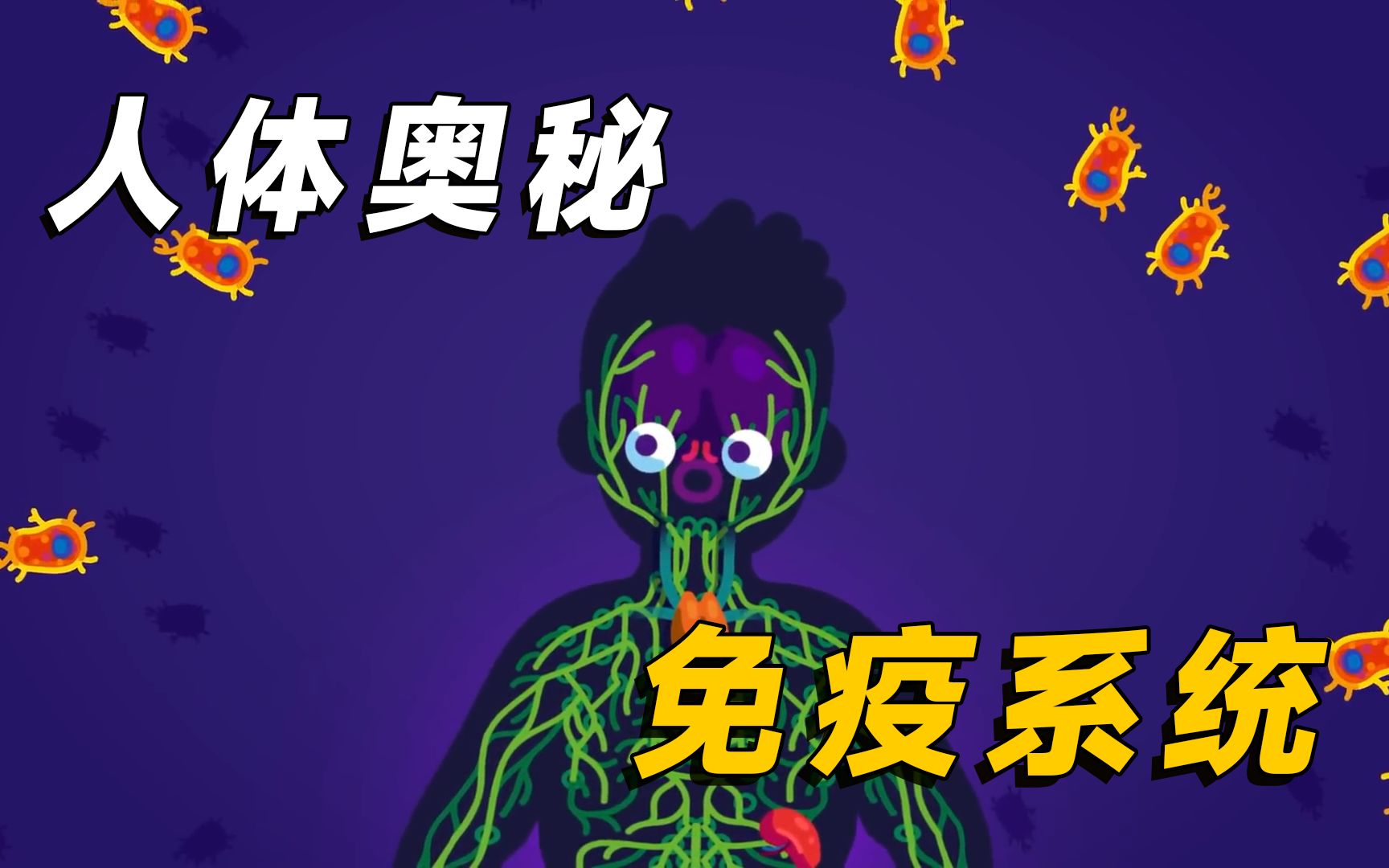 人类是如何抵御细菌入侵的?动画解读人体免疫系统的运作原理!由kurz...