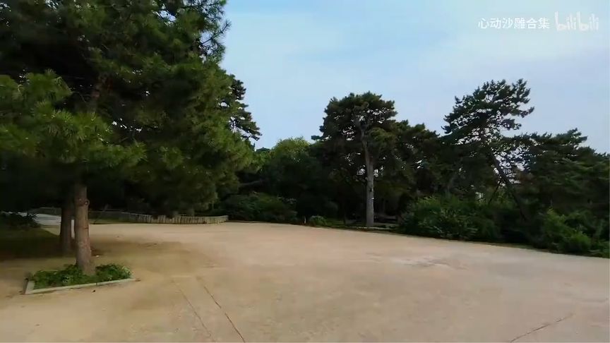 宗门全是疯癫,一起快乐修仙 大合集 |沙雕动画
