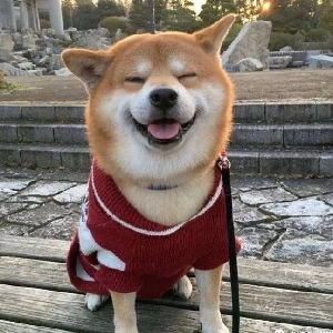 修身_养性 