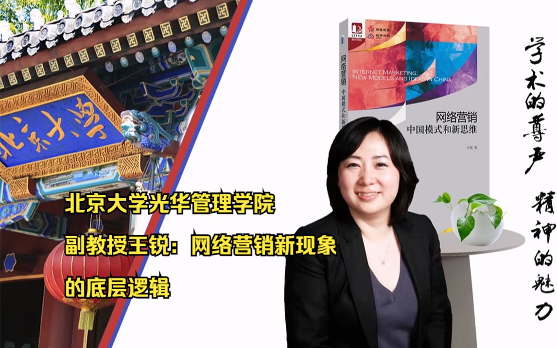 北京大学光华管理学院副教授王锐:网络营销新现象的底层逻辑