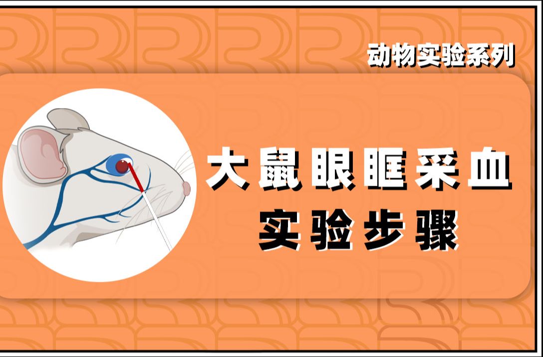 动物实验合集(11):大鼠眼眶取血
