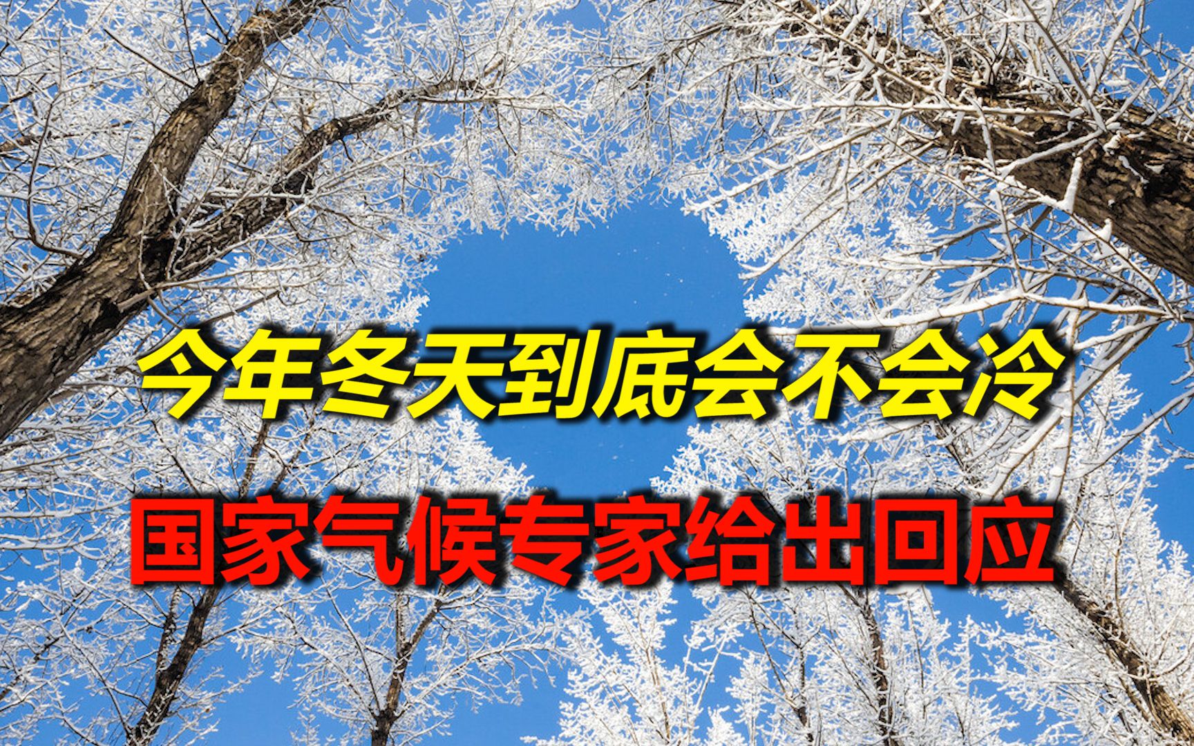 今年冬天到底会不会冷?国家气候专家回应来了