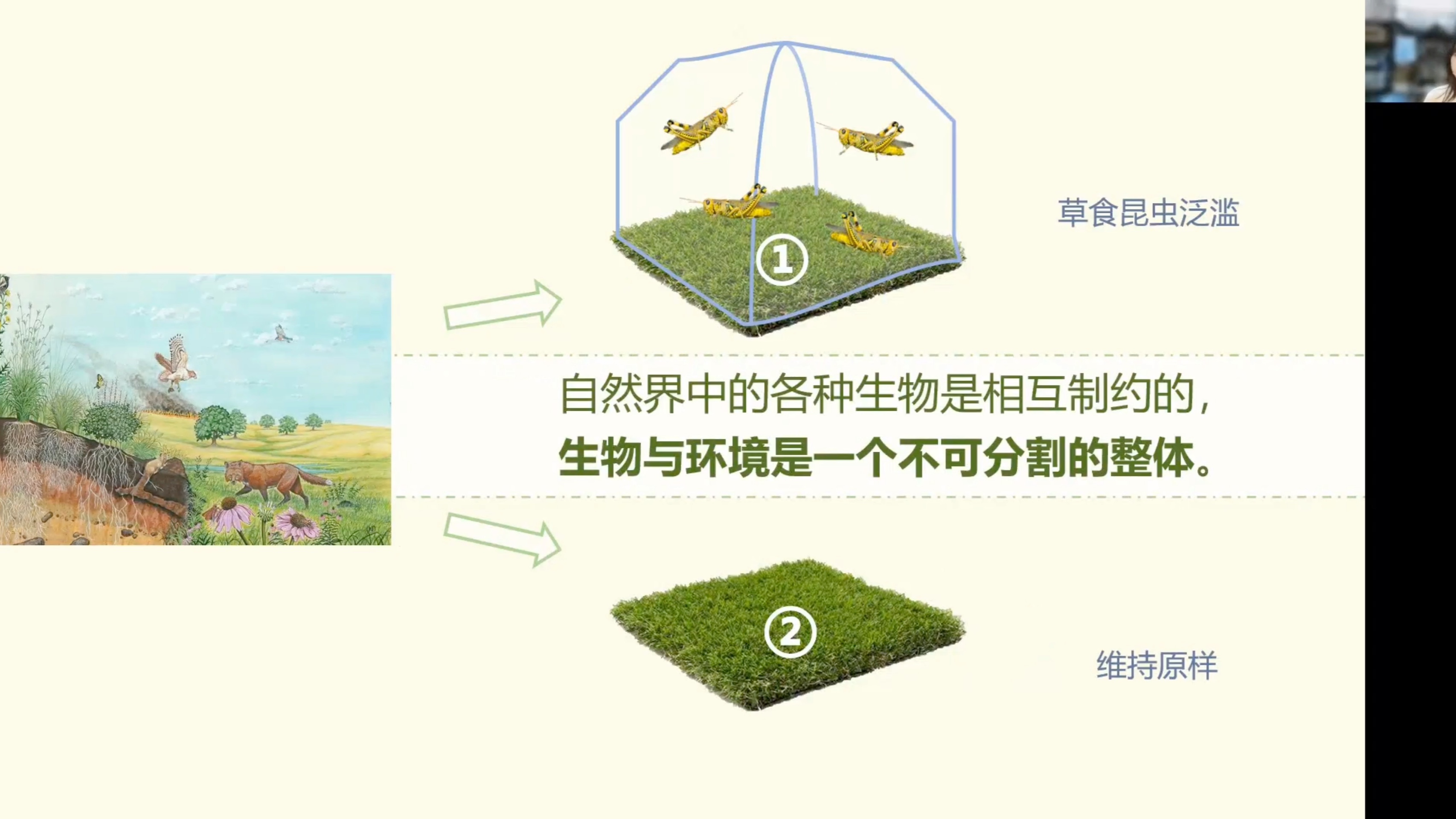 微课 七上生物第二章第二节《生物与环境组成生态系统》