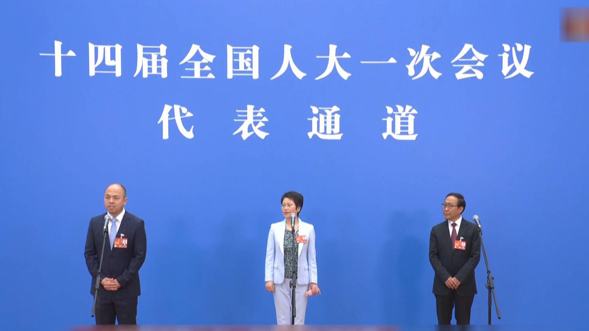 十四届全国人大一次会议首场“代表通道”集体采访