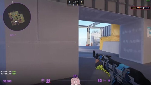 csgo游戏日常csgo女玩家