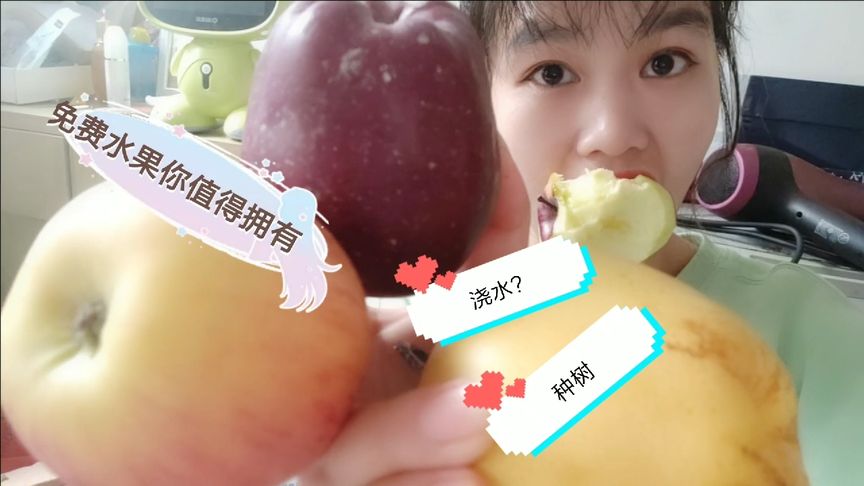 这些都是手机软件上种树浇水免费送的水果,喜欢吃水果的快去领吧