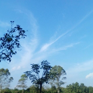 小彩旗小彩旗呀 