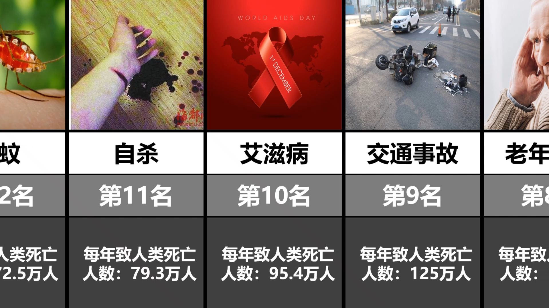 每年致人类死亡人数最多的原因TOP20