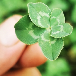 蓝醉影音 