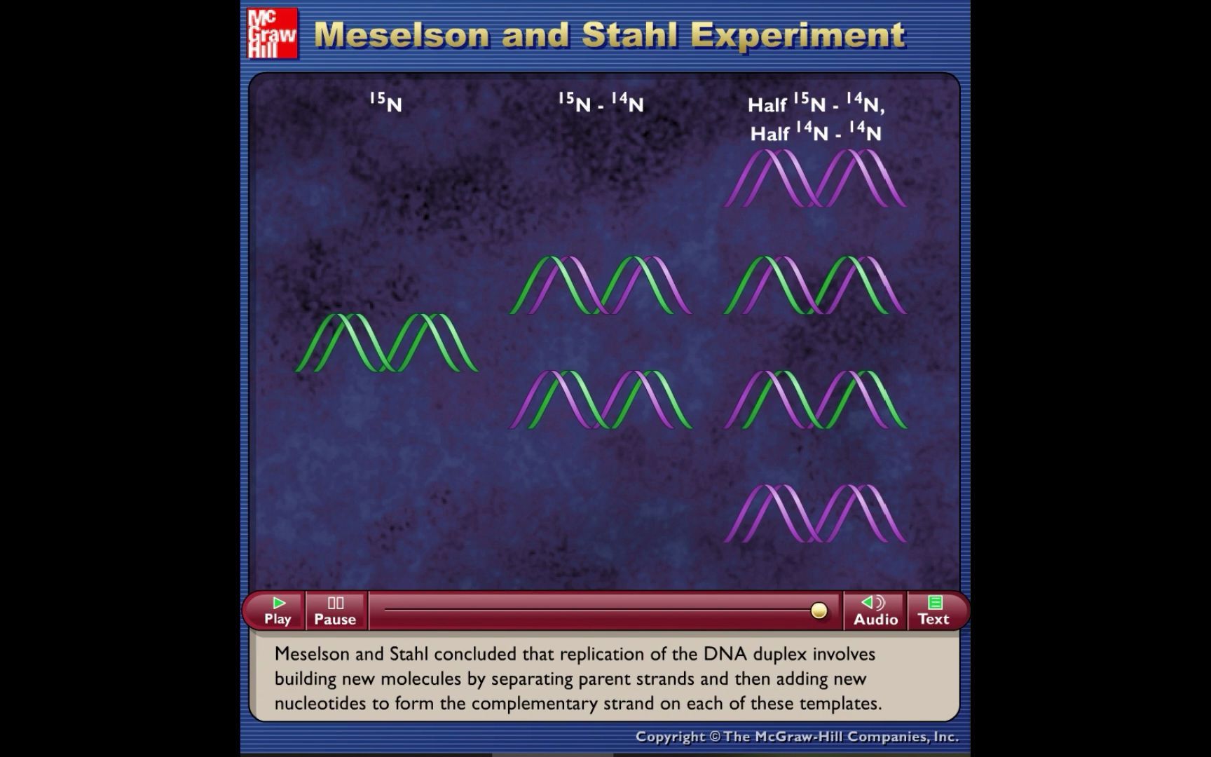 Meselson和Stahl证明DNA半保留复制的实验-Meselson and Stahl ...