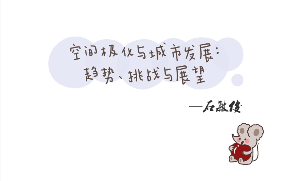 空间极化与城市发展:趋势、挑战与展望