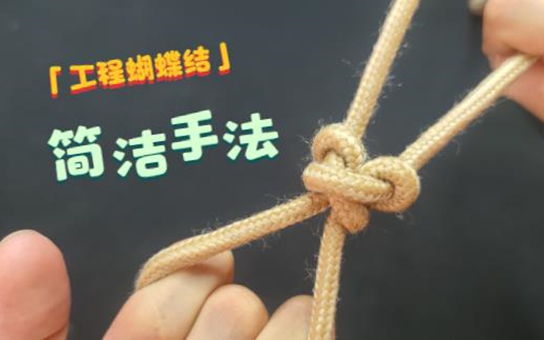 工程蝴蝶结,用途非常广泛,不一样的简洁手法,值得收藏