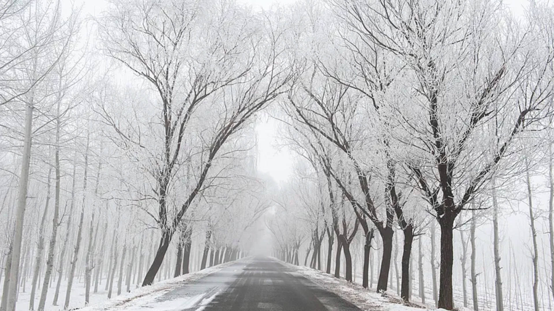新一股冷空气即将来袭,多地气温累计降幅达20℃!出行请注意