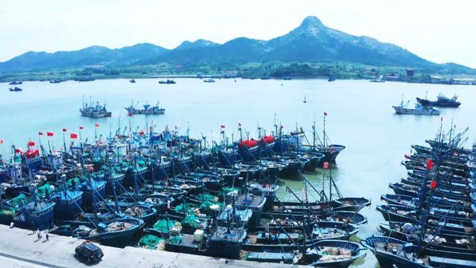 果然视频丨乳山规范管海,守护渔业生产安全和可持续发展