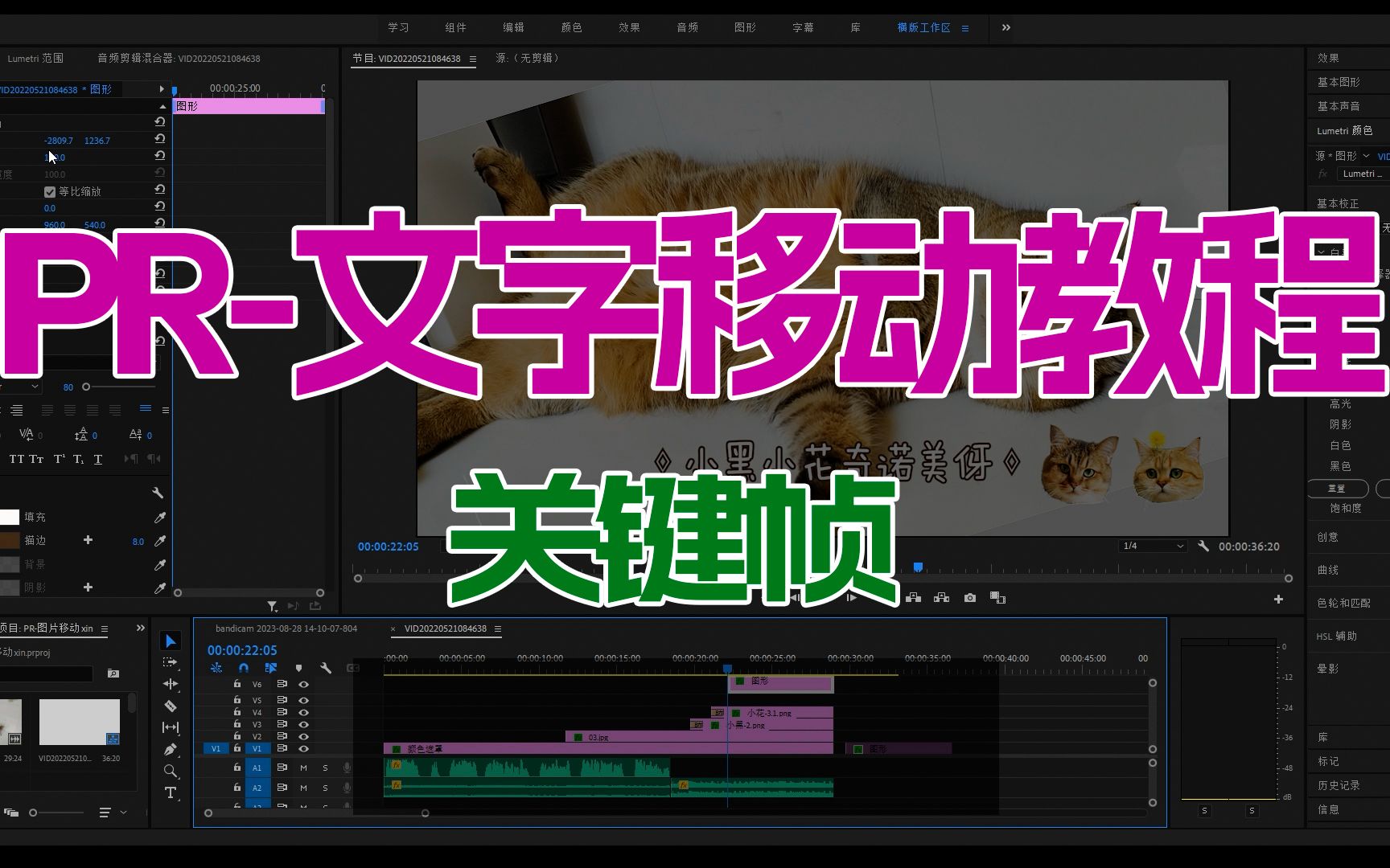 PR-文字移动教程