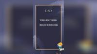 CAD绘制不规则三维图形