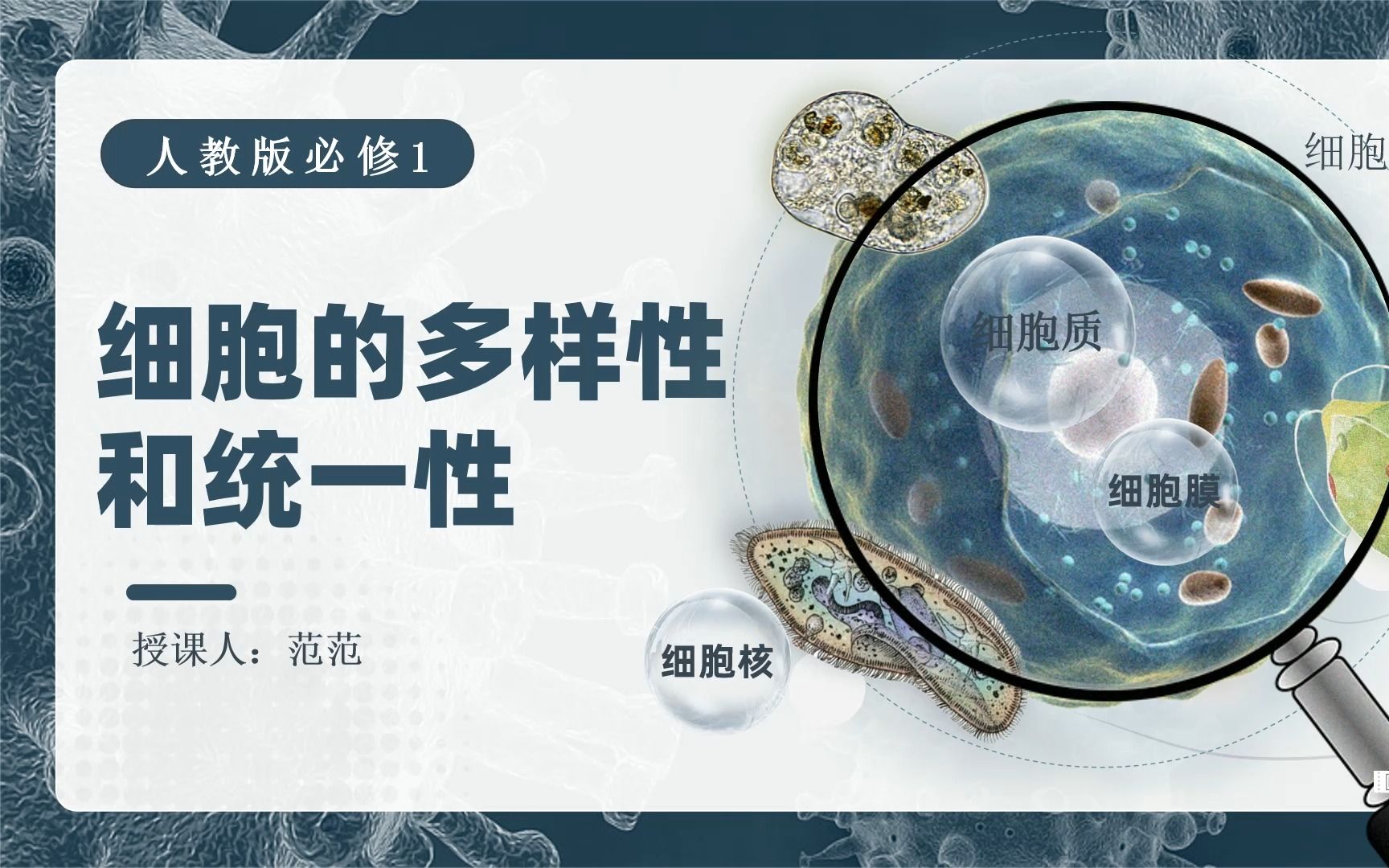 1.2细胞的统一性和多样性