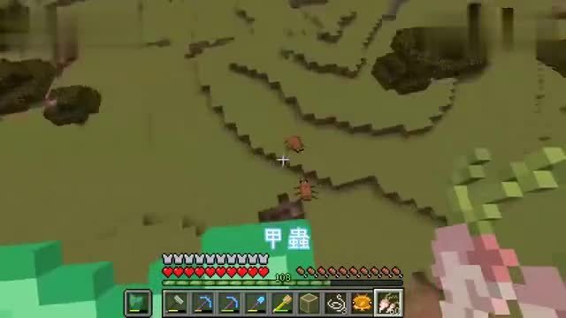小白解说我的世界浑沌昆虫38 居然抓.