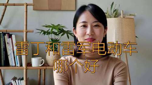 雷军电动车对决雷丁:谁才是性价比之王?实测结果令人意外!