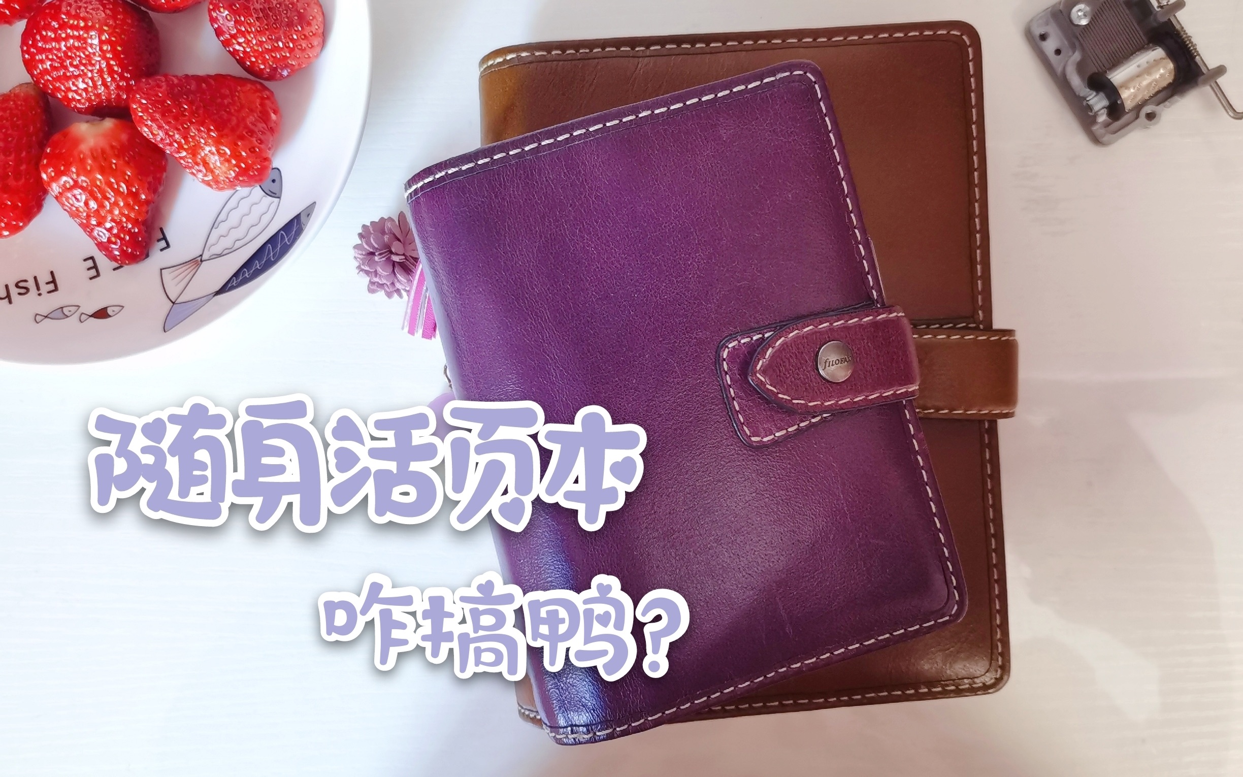 【手帐体系】a7随身活页本的使用方法+set up | Filofax malden pocket