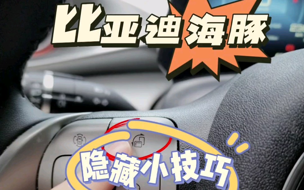 99%的人都不知道的比亚迪海豚隐藏小技巧,都是亲测非常实用的,快来...