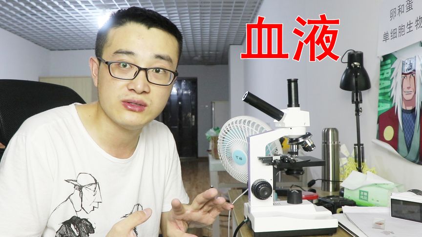 血液放大2000倍,观察血液中的红细胞,还有神奇的血小板